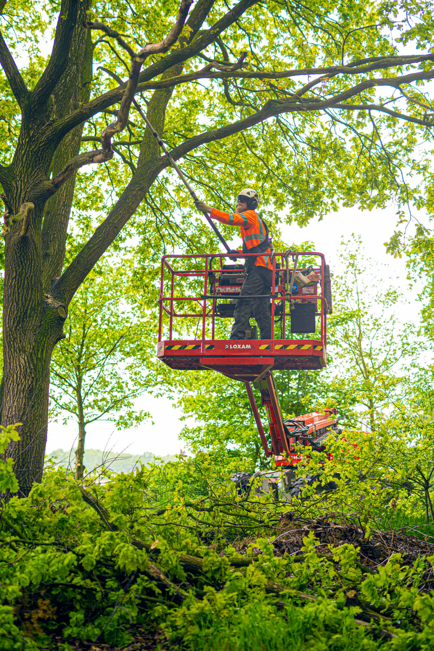 European Tree Worker - ETW'er - Vactures van Jos Kanters Groenvoorziening