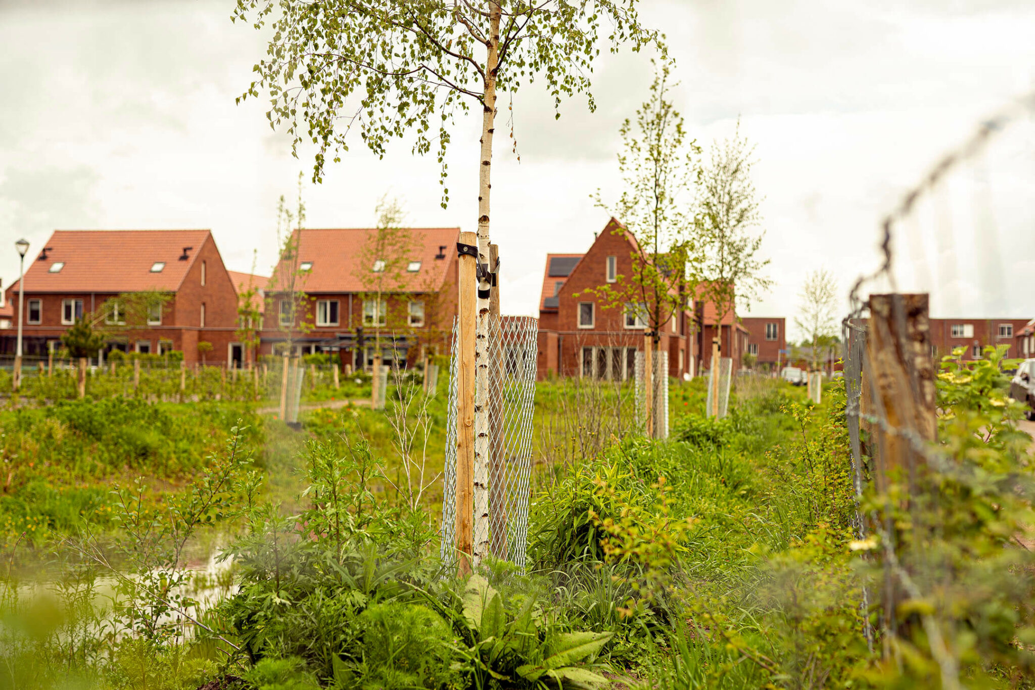 Wijk Koolhoven, Tilburg - Jos Kanters Groenvoorziening
